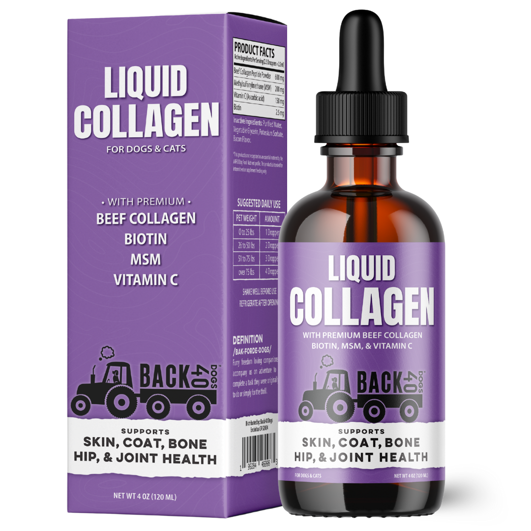 Liquid Collagen | Itch Relief, Joint Support, Strong Nails & Bones ...